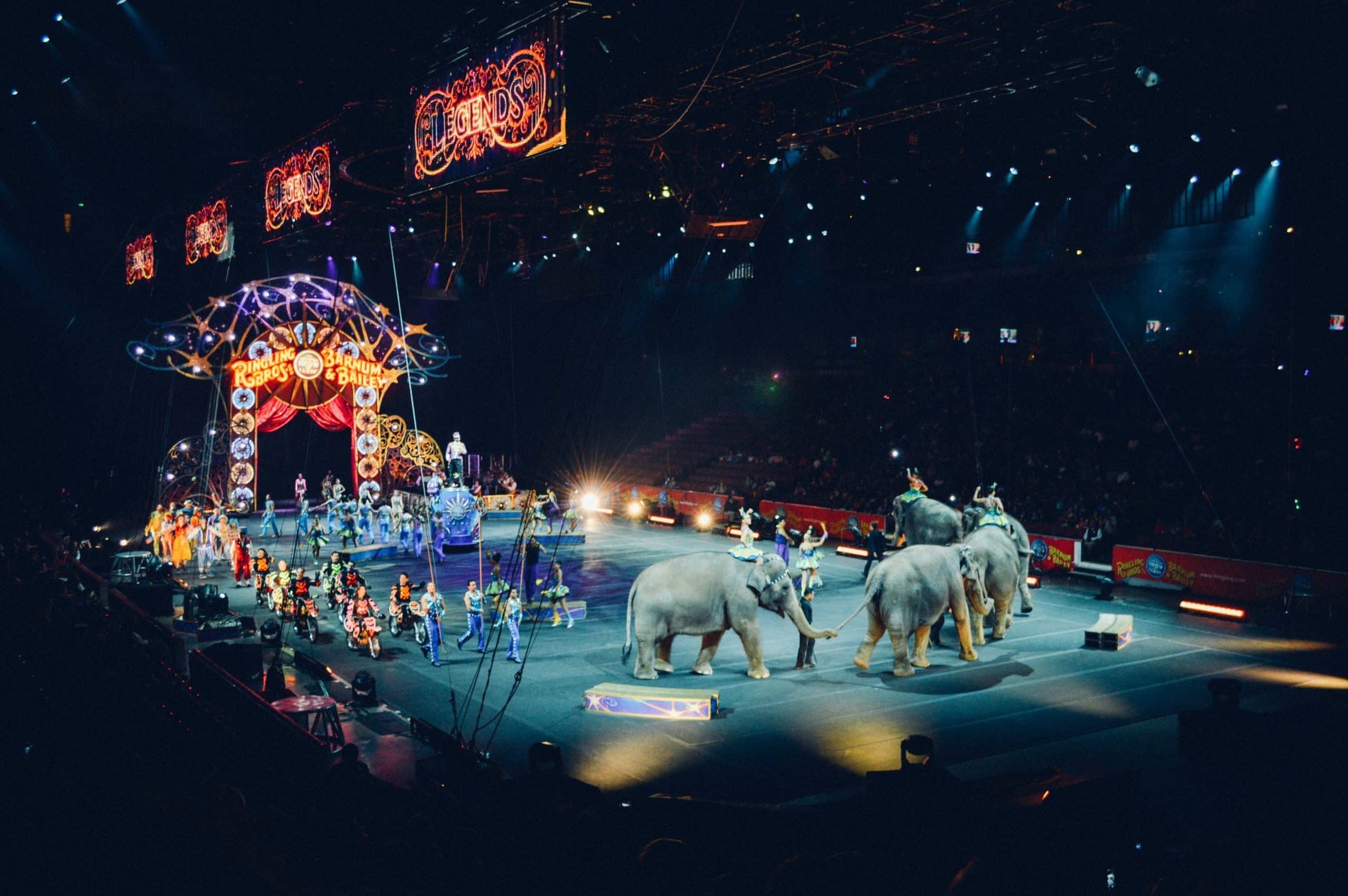 La magie du cirque contemporain : spectacles fascinants - Jalancryogenics